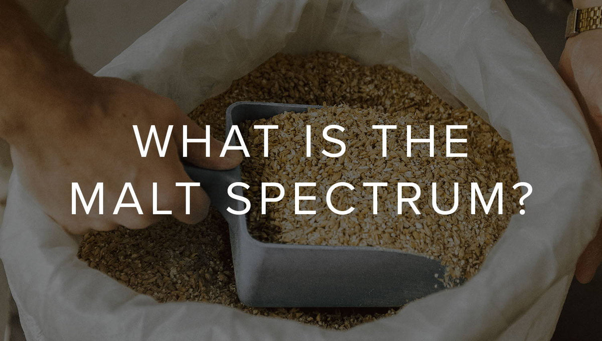 Malt: The Backbone of Brewing Beer | Small Be